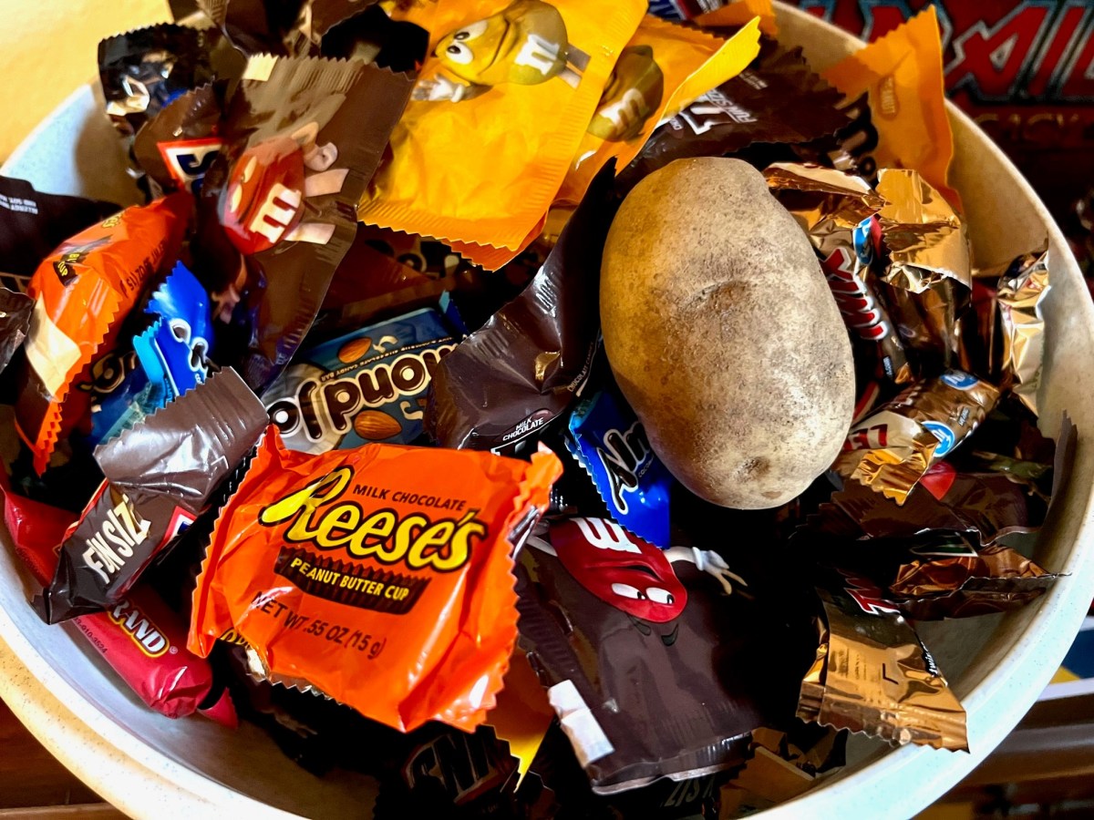 Free Range Report – Good Chips and Really Bad Chips – River Evenings